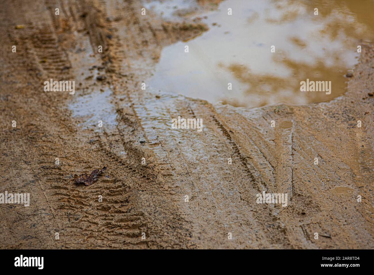 Puddle in the mud 5 Stock Photo - Alamy
