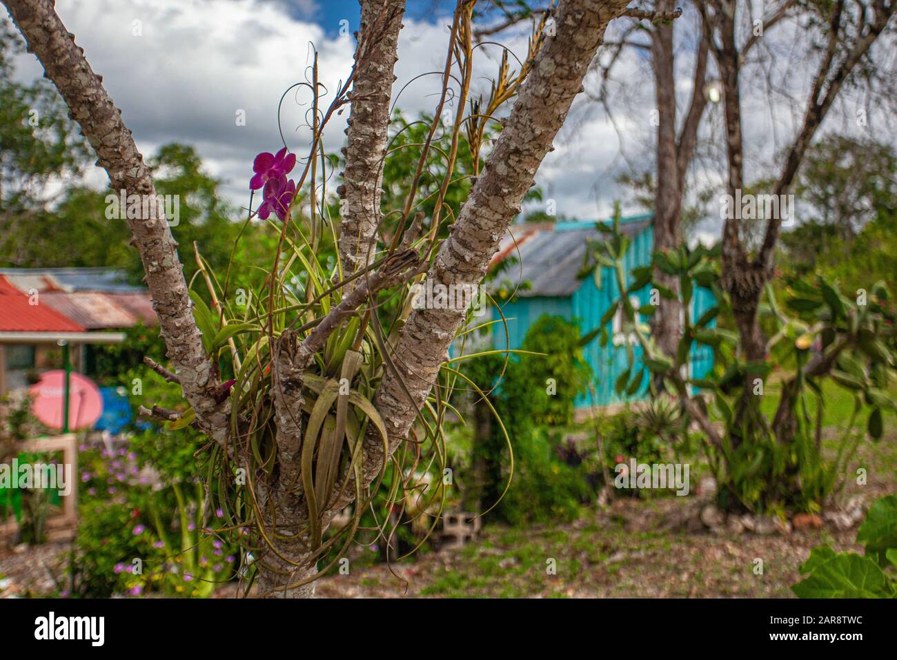 Cotubanama National Park in Dominican Republic 5 Stock Photo - Alamy