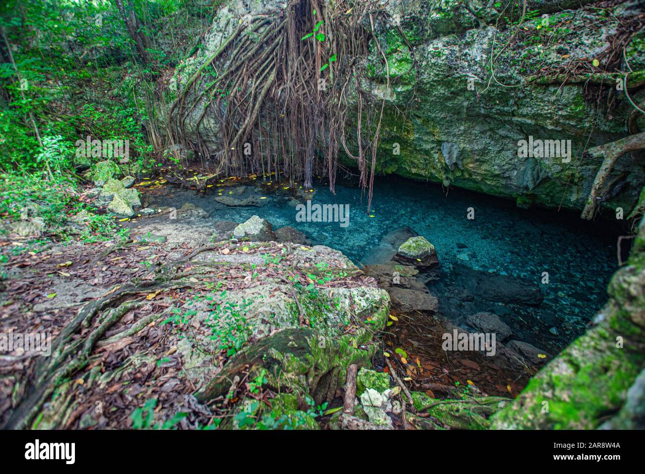 Cotubanama National Park in Dominican Republic Stock Photo - Alamy