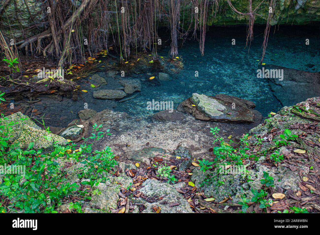 Cotubanama National Park in Dominican Republic 2 Stock Photo - Alamy