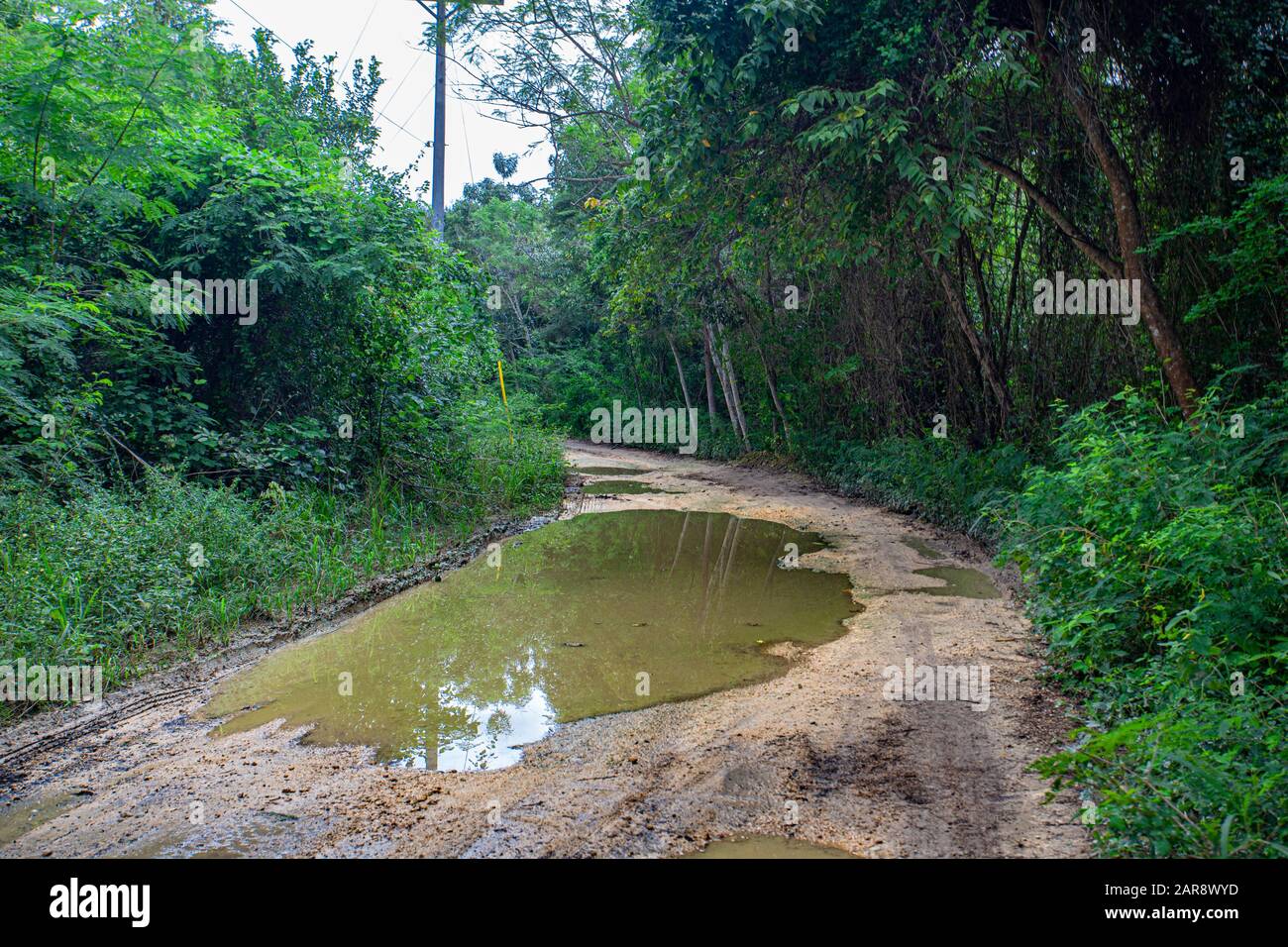 Cotubanama national park hi-res stock photography and images - Alamy