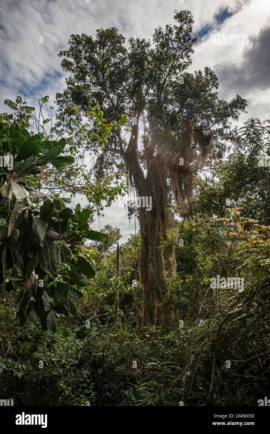 Cotubanama National Park in Dominican Republic 25 Stock Photo - Alamy