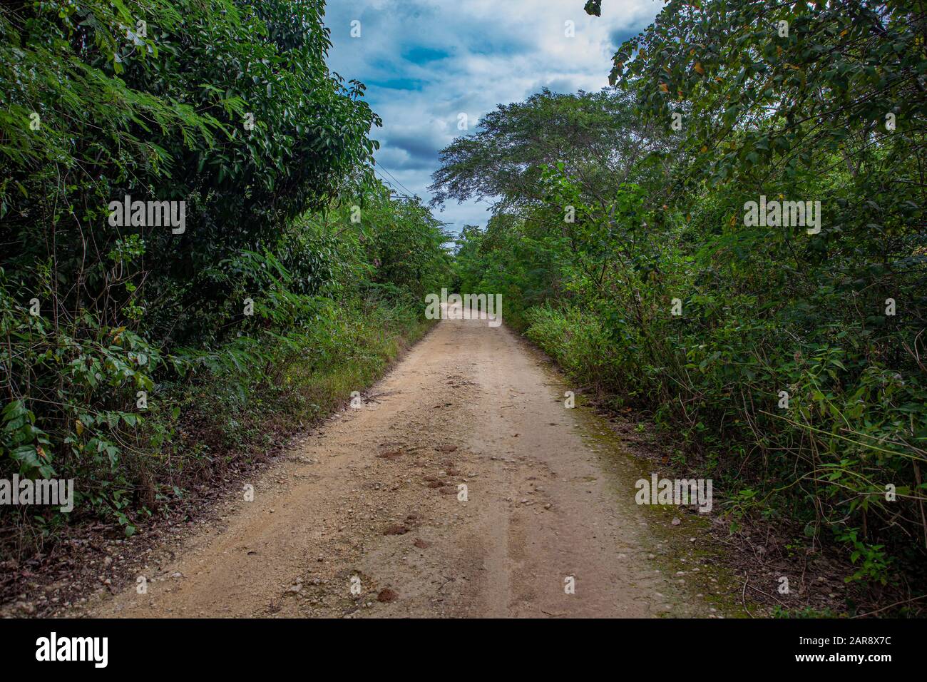 Cotubanama national park hi-res stock photography and images - Alamy