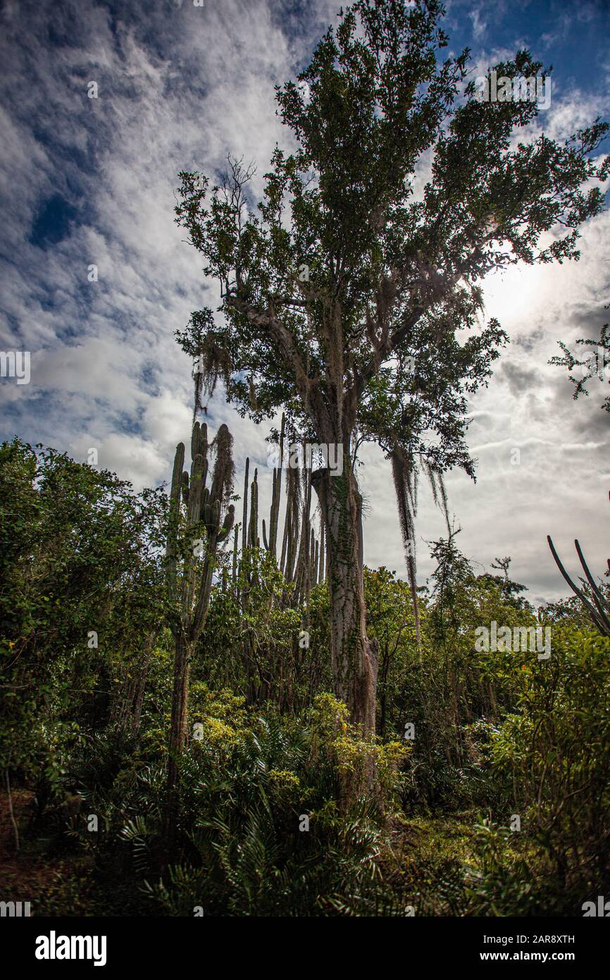Cotubanama National Park in Dominican Republic 24 Stock Photo - Alamy