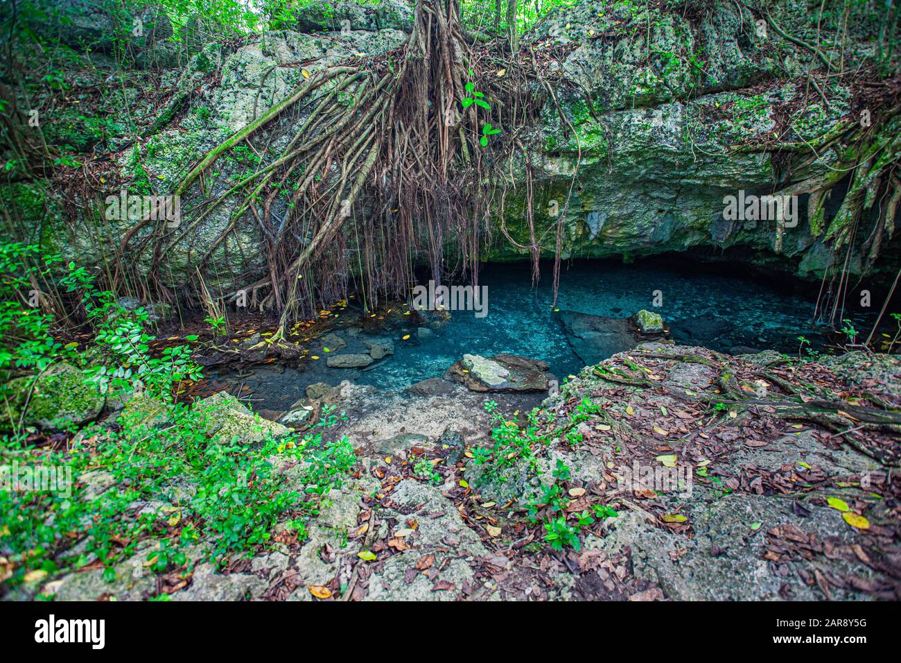 Cotubanama national park hi-res stock photography and images - Alamy