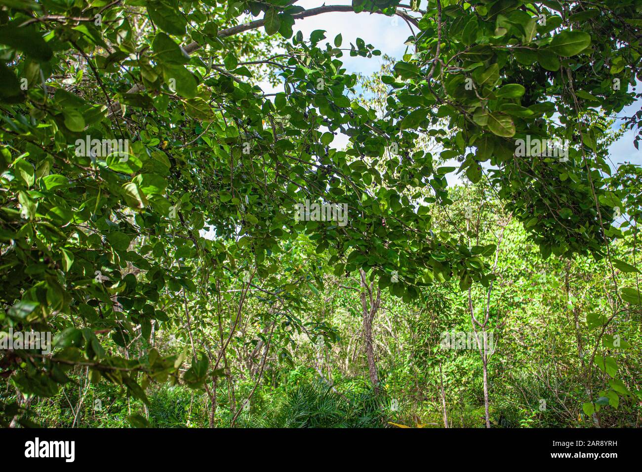 Cotubanama National Park in Dominican Republic 21 Stock Photo - Alamy