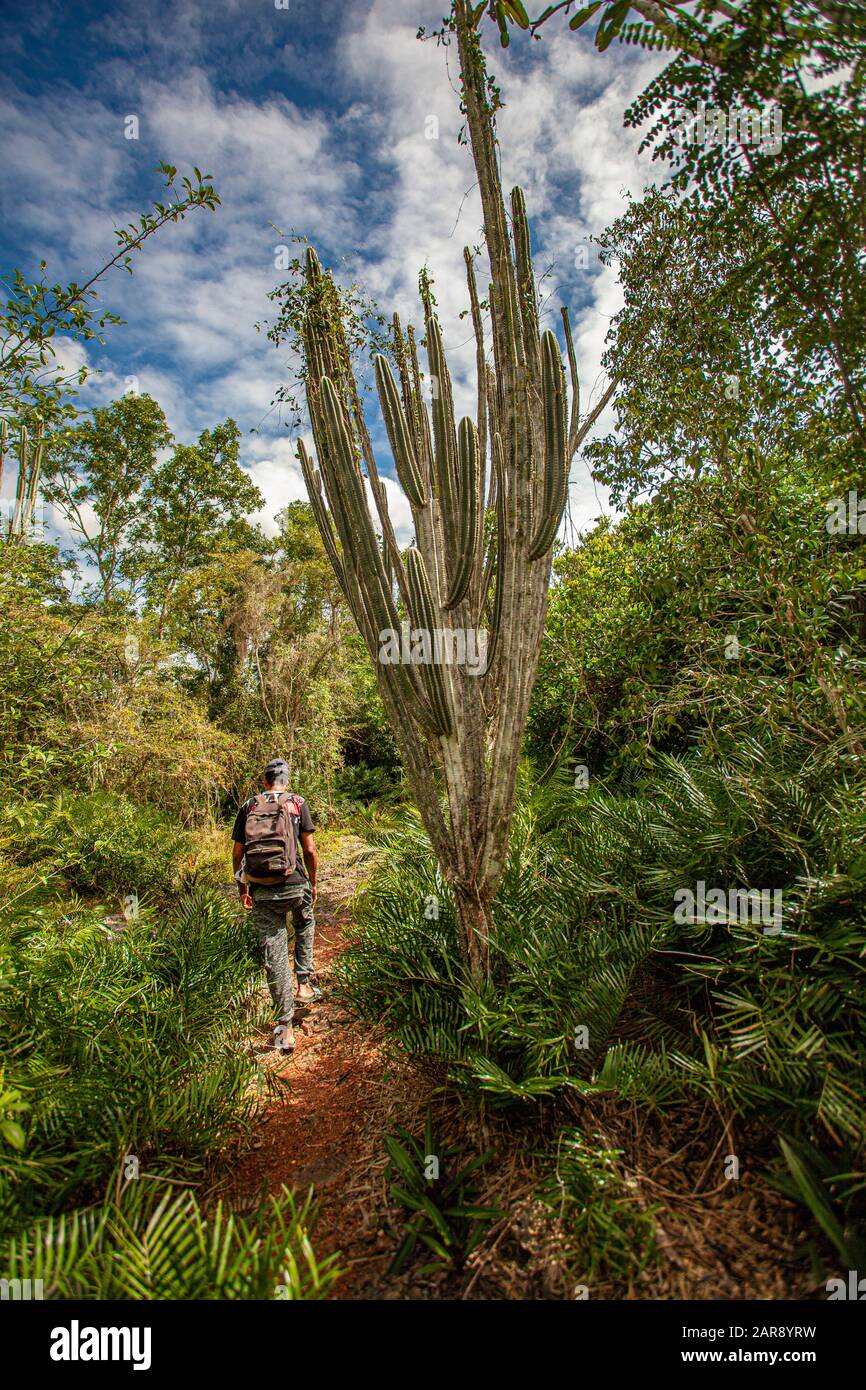 Cotubanama National Park in Dominican Republic 20 Stock Photo - Alamy