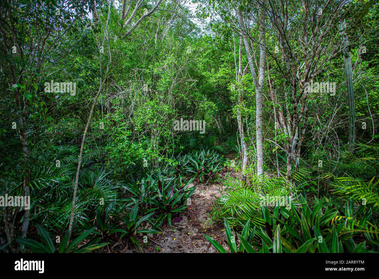 Cotubanama National Park in Dominican Republic 18 Stock Photo - Alamy