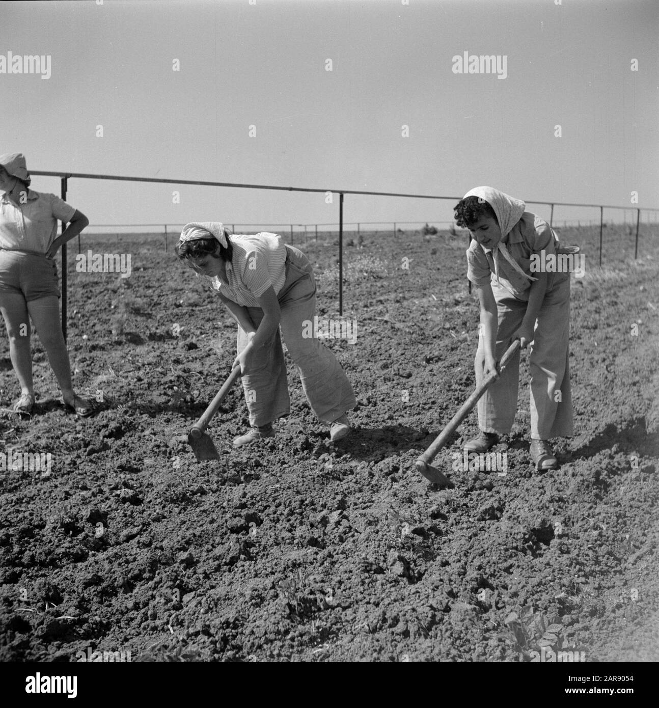 Israel 1948-1949: kibbutz Kiwath Brenner Turkish and Bulgarian girls ...