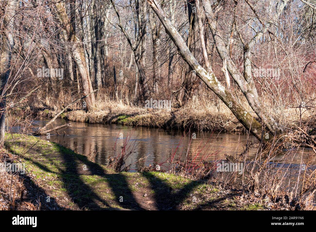 Mild winter hi-res stock photography and images - Alamy