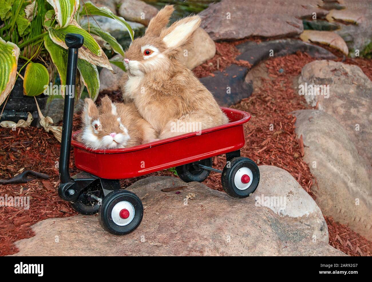 Little Red Wagon Photography