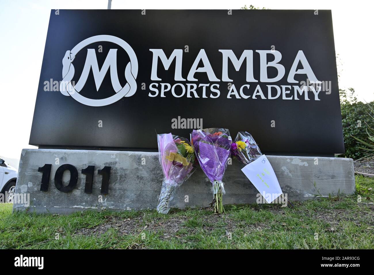 Mamba academy hi-res stock photography and images - Alamy