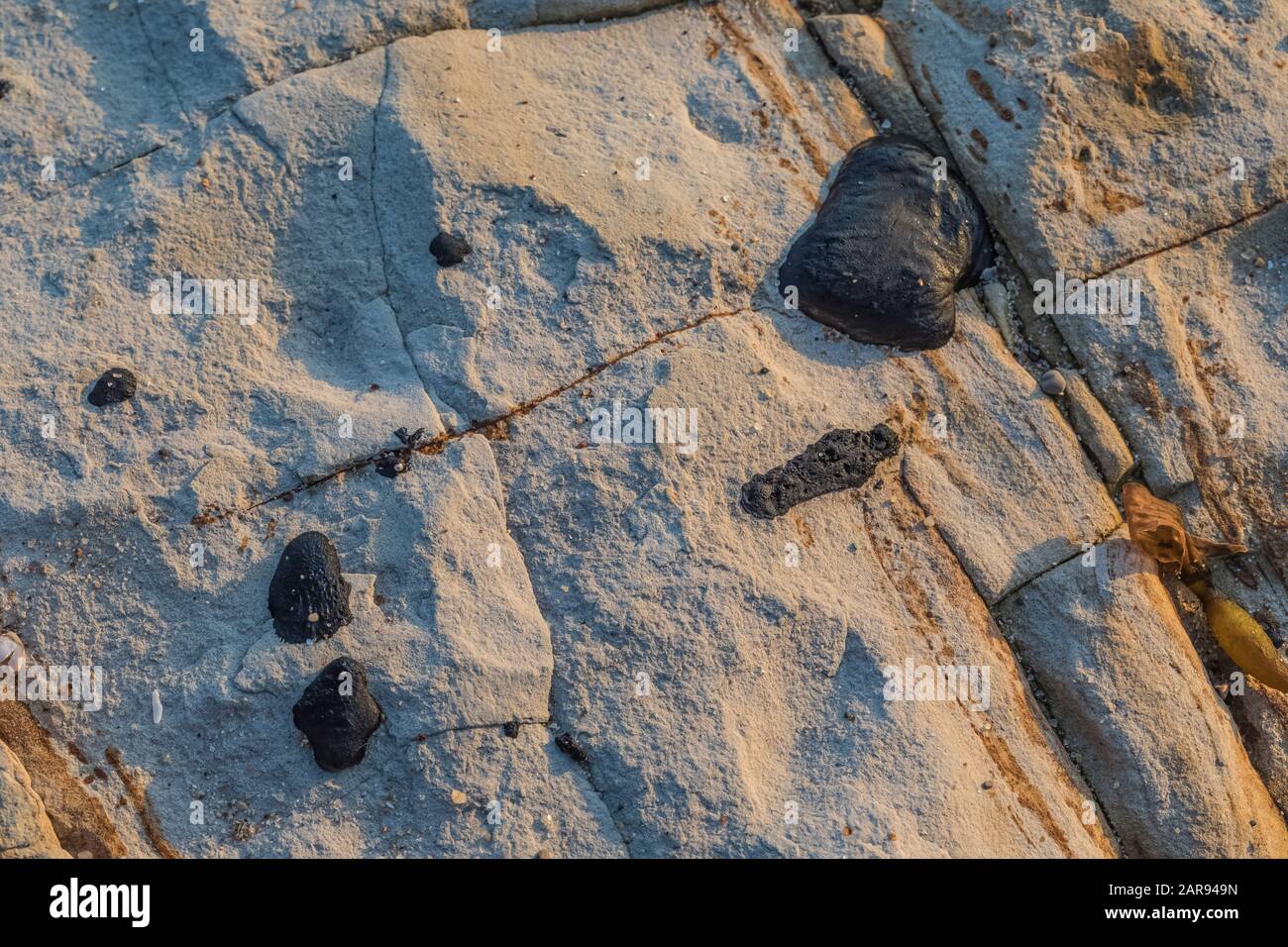 Black mudstone hi-res stock photography and images - Alamy