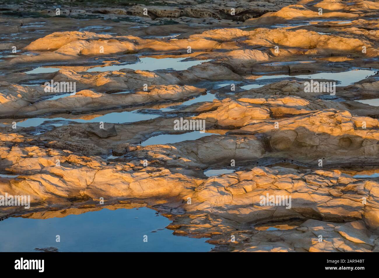 Patterns and lines in mudstone at low tide at Natural Bridges State ...
