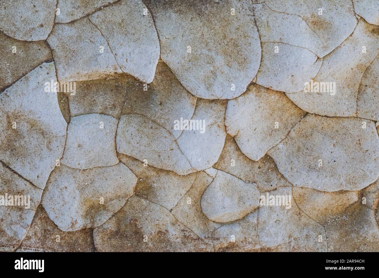 Santa cruz mudstone hi-res stock photography and images - Alamy