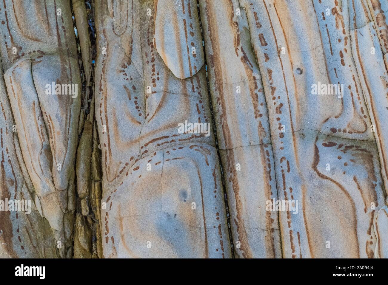 Patterns and lines in mudstone at low tide at Natural Bridges State ...
