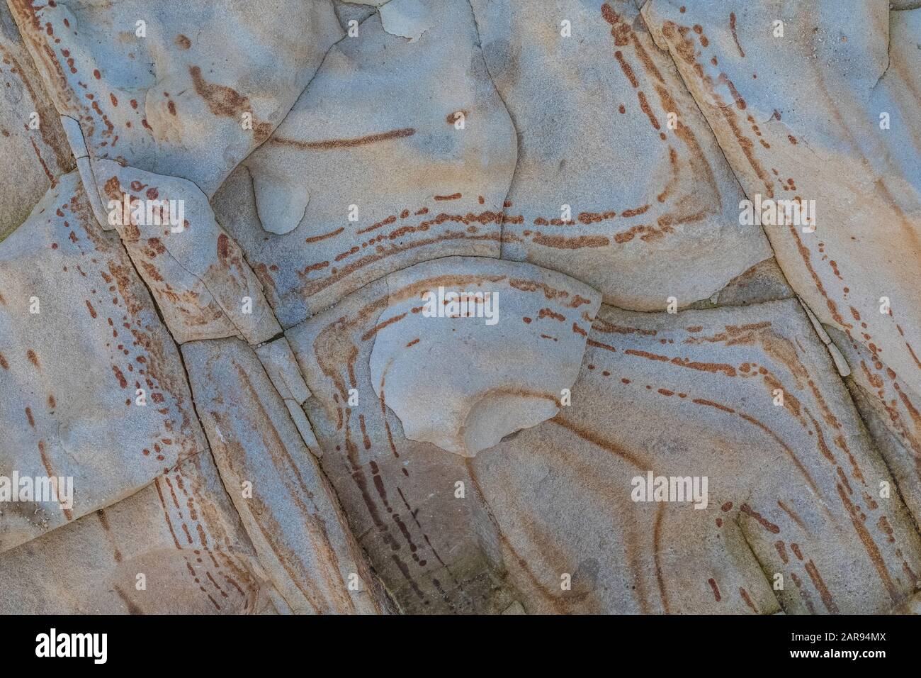 Patterns and lines in mudstone at low tide at Natural Bridges State ...