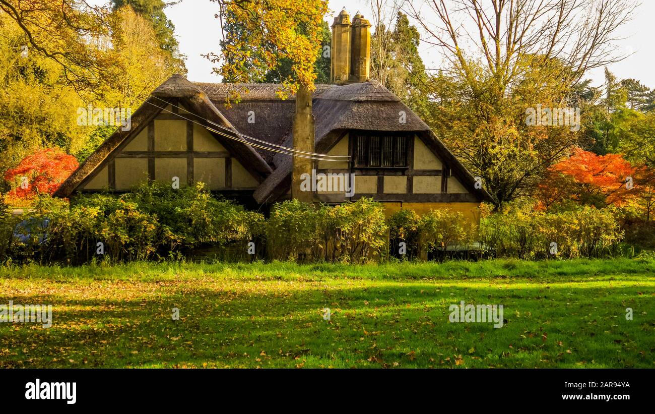 batsford arboretum cotswolds autumn Stock Photo - Alamy