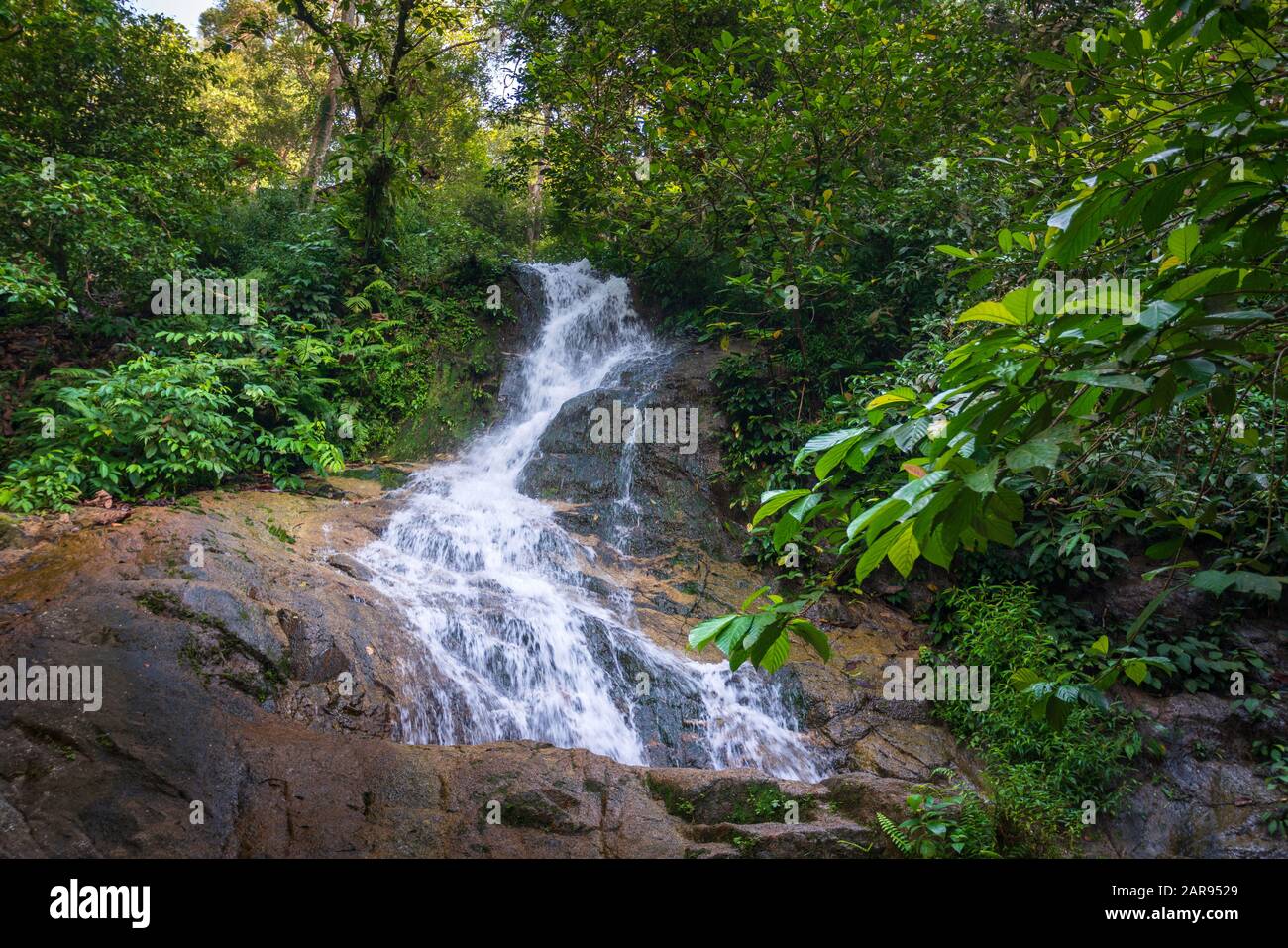 The waterfall of Malaysia Stock Photo - Alamy