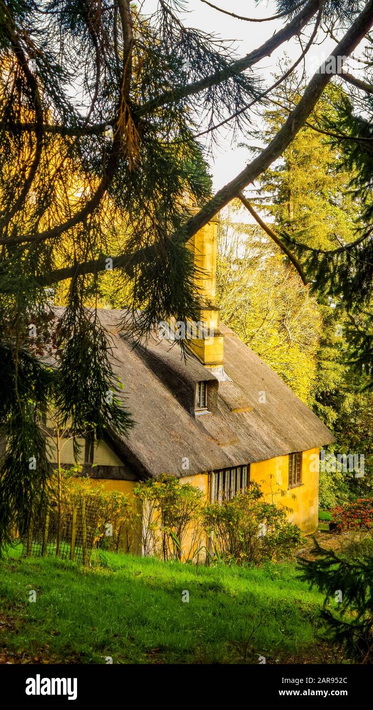batsford arboretum cotswolds autumn Stock Photo - Alamy
