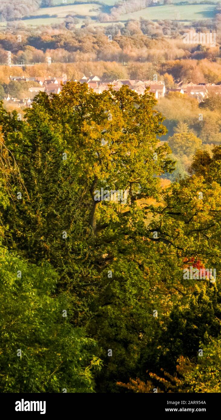 batsford arboretum cotswolds autumn Stock Photo - Alamy