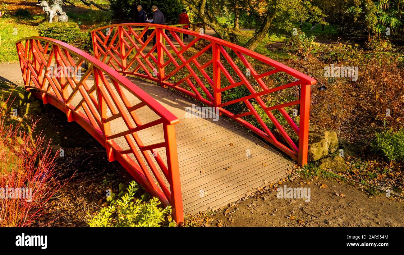 batsford arboretum cotswolds autumn Stock Photo - Alamy