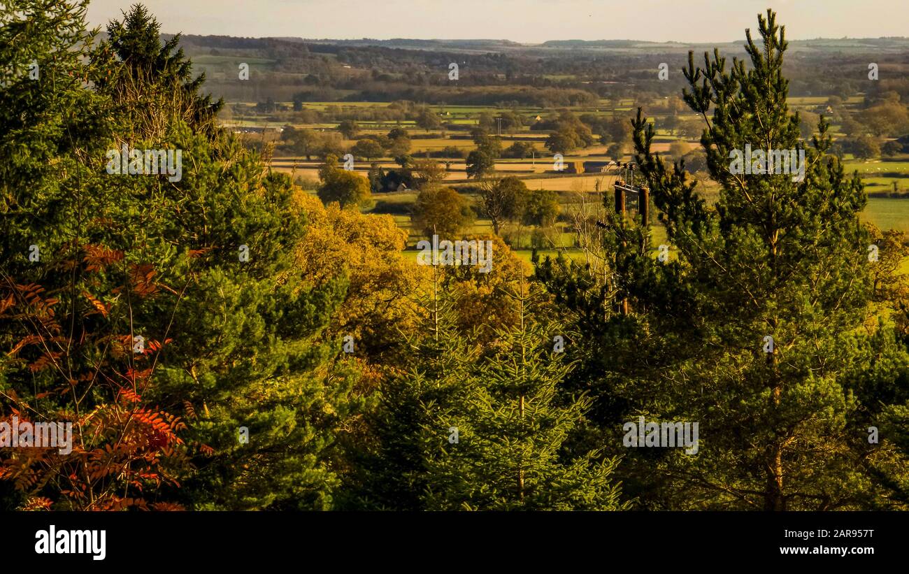 batsford arboretum cotswolds autumn Stock Photo - Alamy