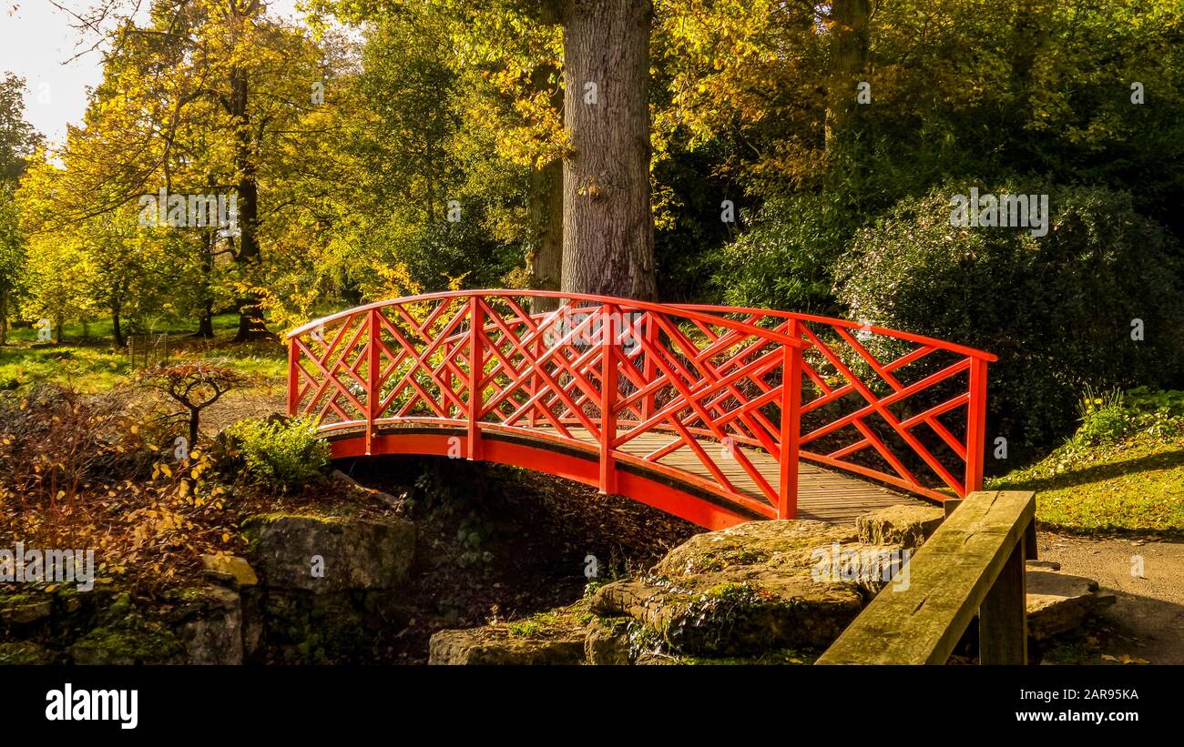 batsford arboretum cotswolds autumn Stock Photo - Alamy