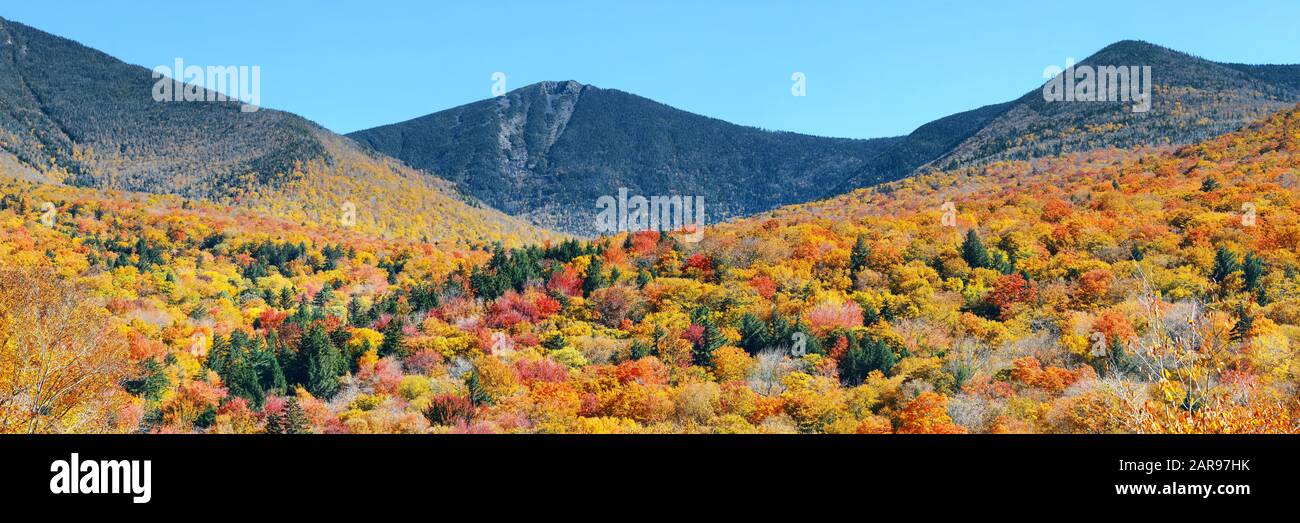 Colorful autumn foliage in white mountain hi-res stock photography and images - Alamy