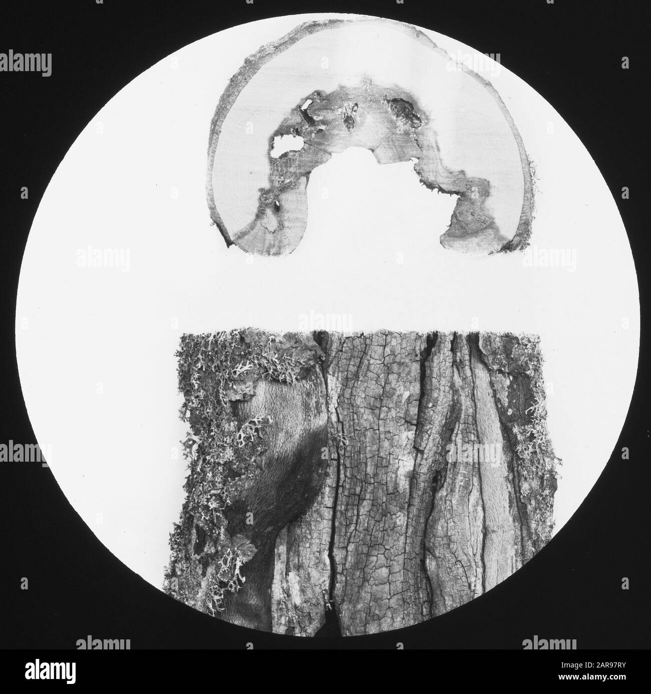 Exposure damage Black and White Stock Photos & Images - Alamy