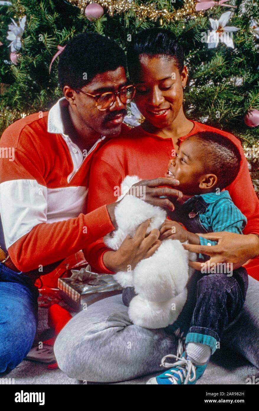 Corona tree hi-res stock photography and images - Alamy