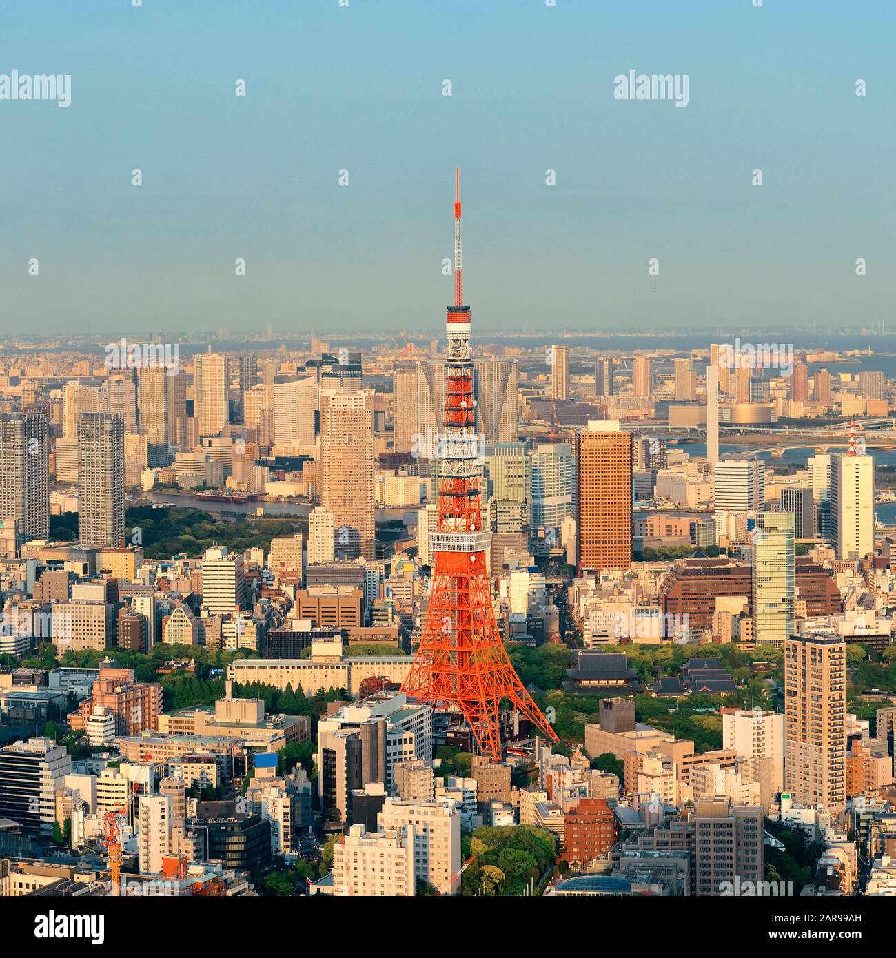 Tokyo Tower and urban skyline rooftop view at sunset, Japan Stock Photo - Alamy