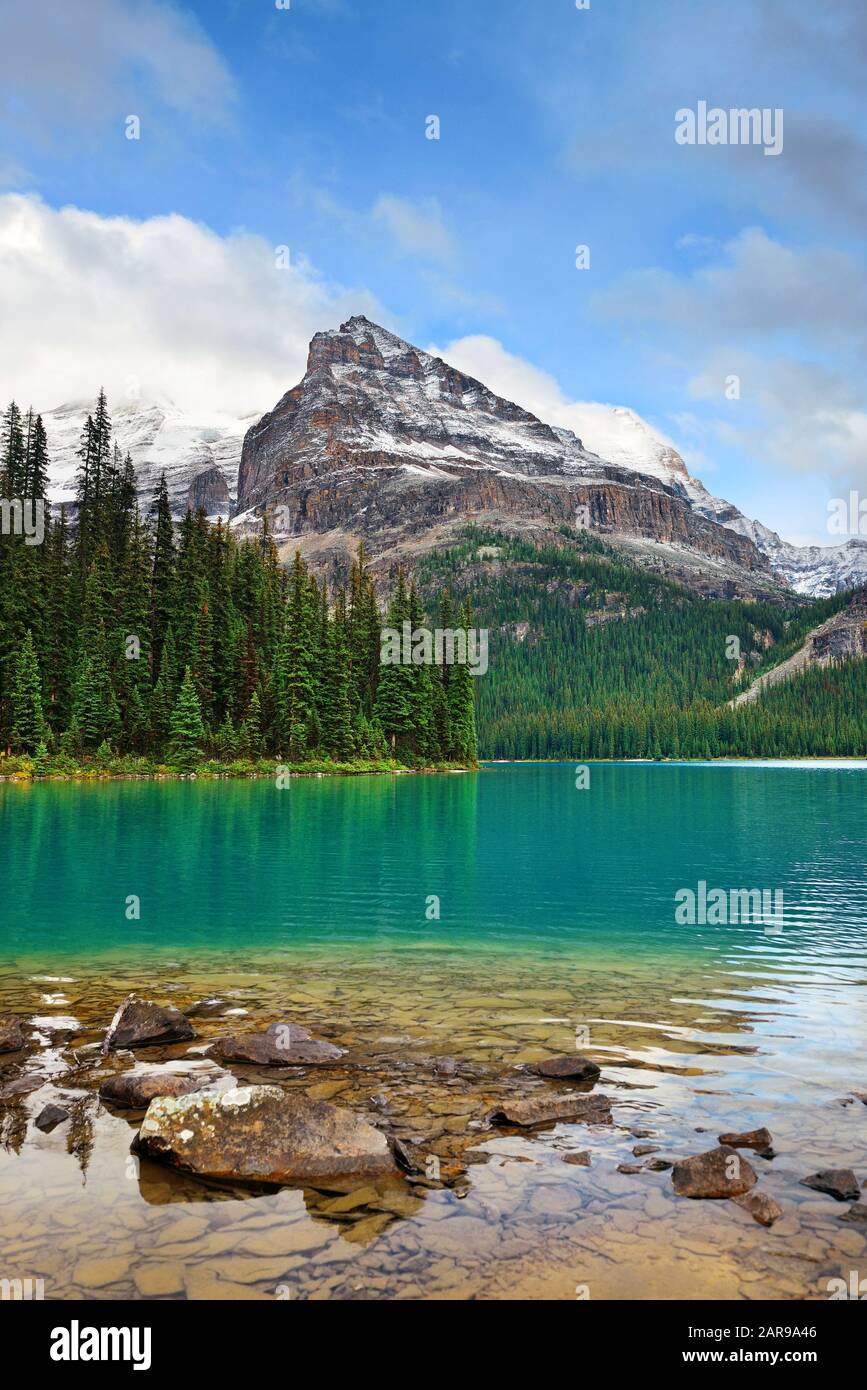 Lake O'hara, Yohu National Park, Canada Stock Photo - Alamy