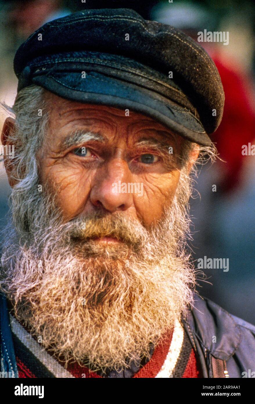 An "old salt" elderly bearded man poses in Nantucket, MA Stock Photo ...