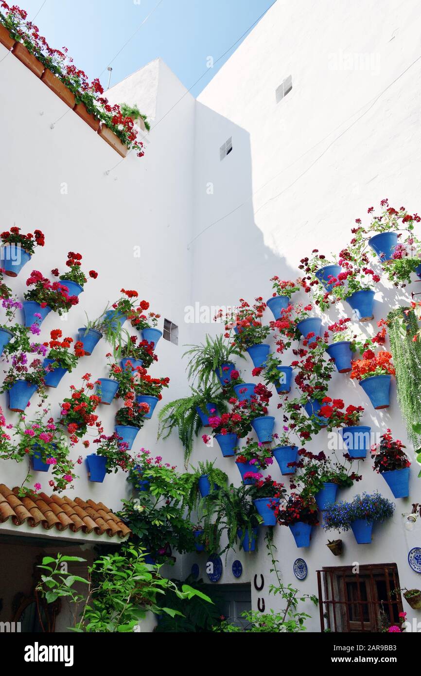 Beautiful flower decoration of the resident house in Cordoba, Spain ...