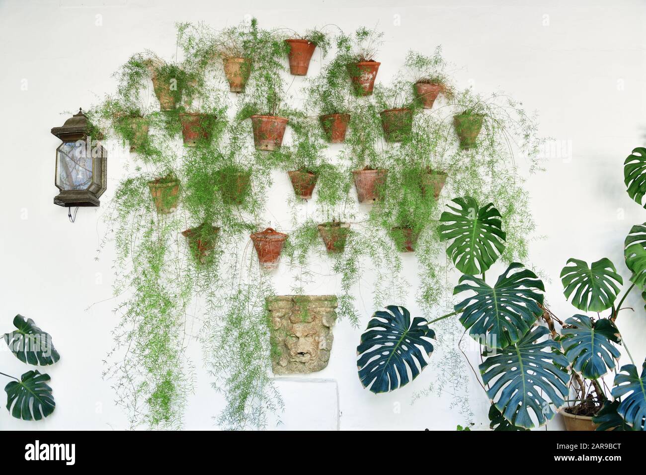 Beautiful flower decoration of the resident house in Cordoba, Spain ...