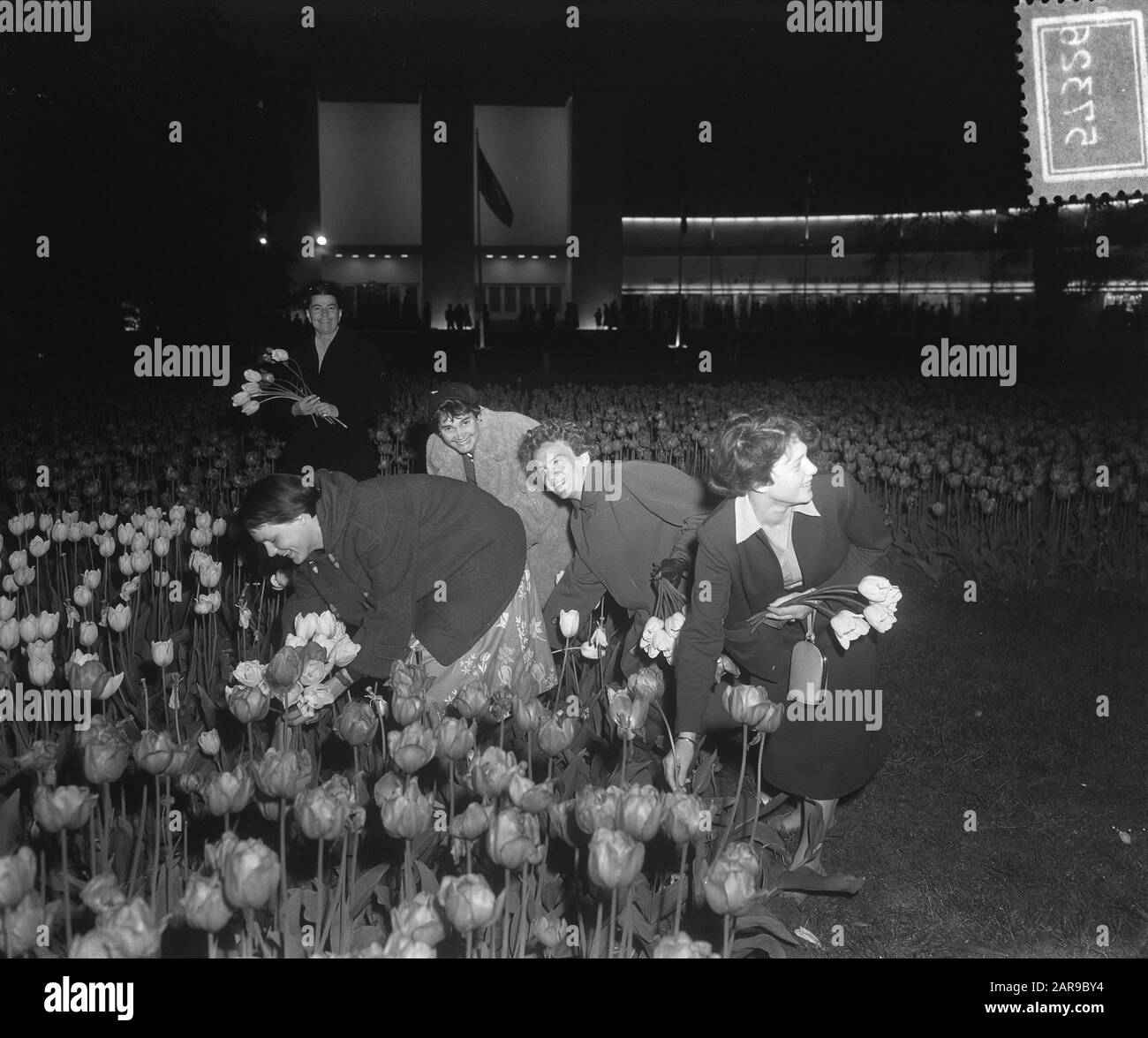 Seasonal floral displays Black and White Stock Photos & Images - Alamy
