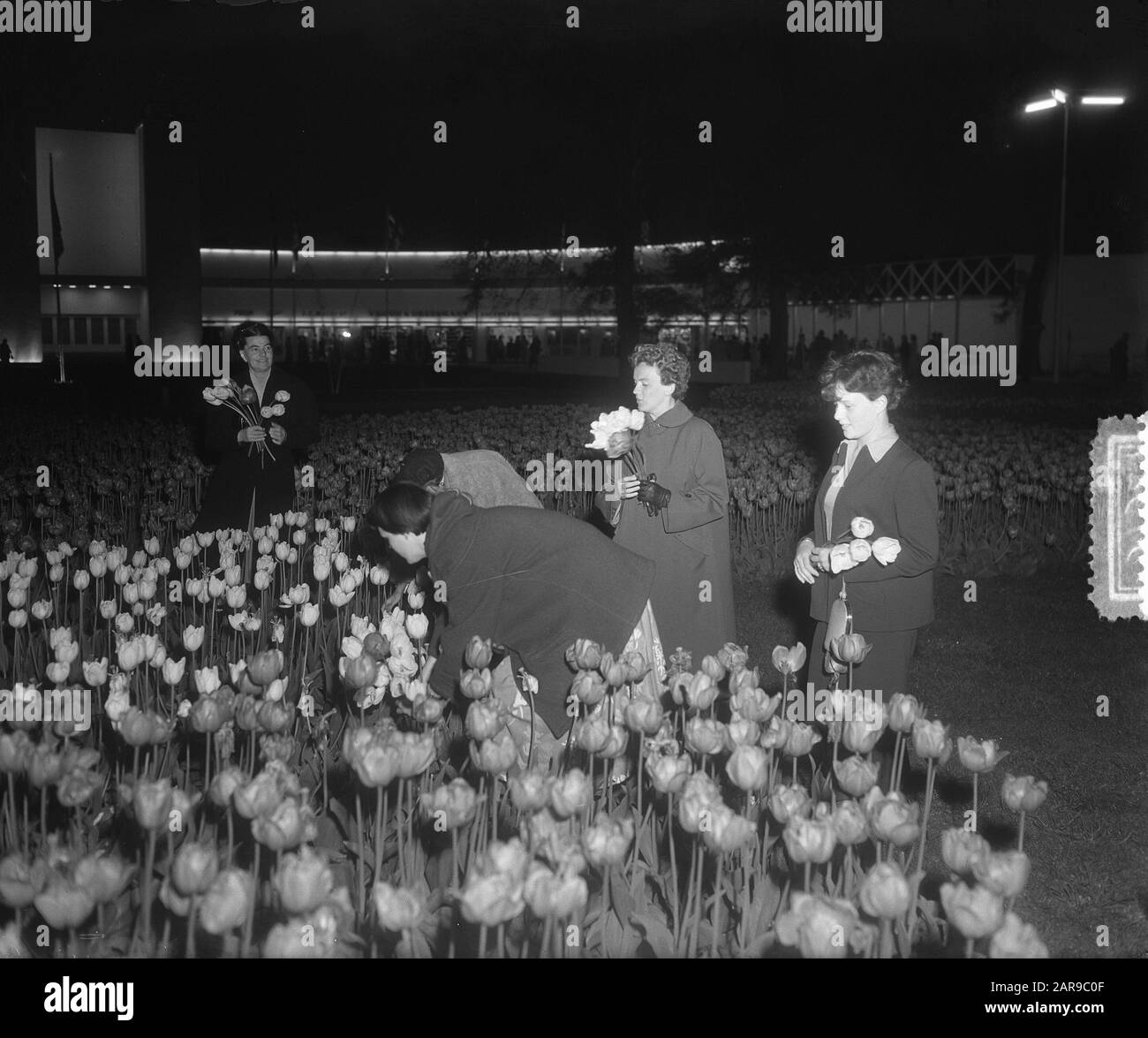 Floral appreciation Black and White Stock Photos & Images - Alamy