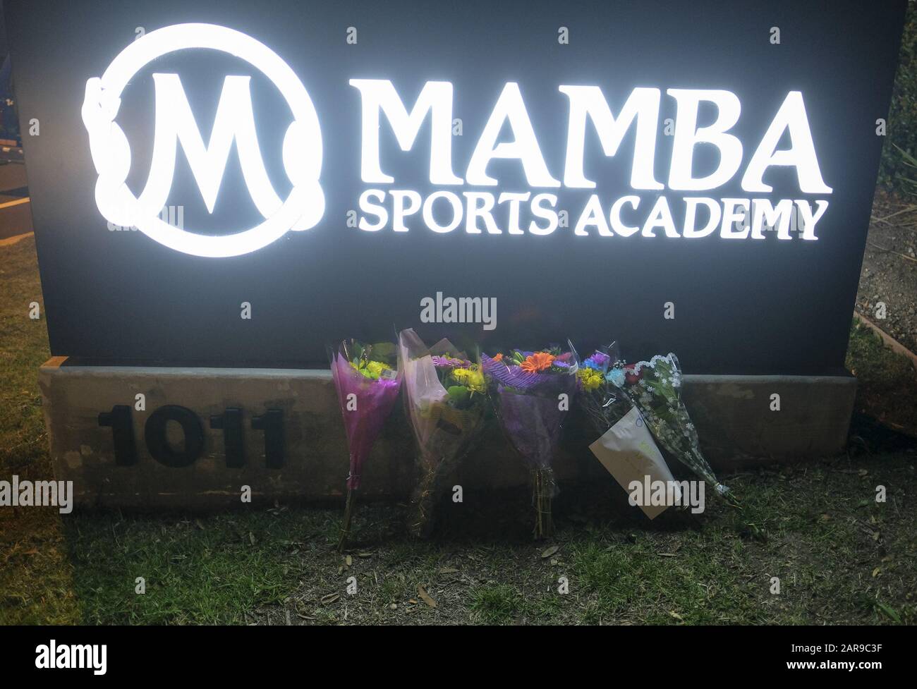 Mamba academy hi-res stock photography and images - Alamy