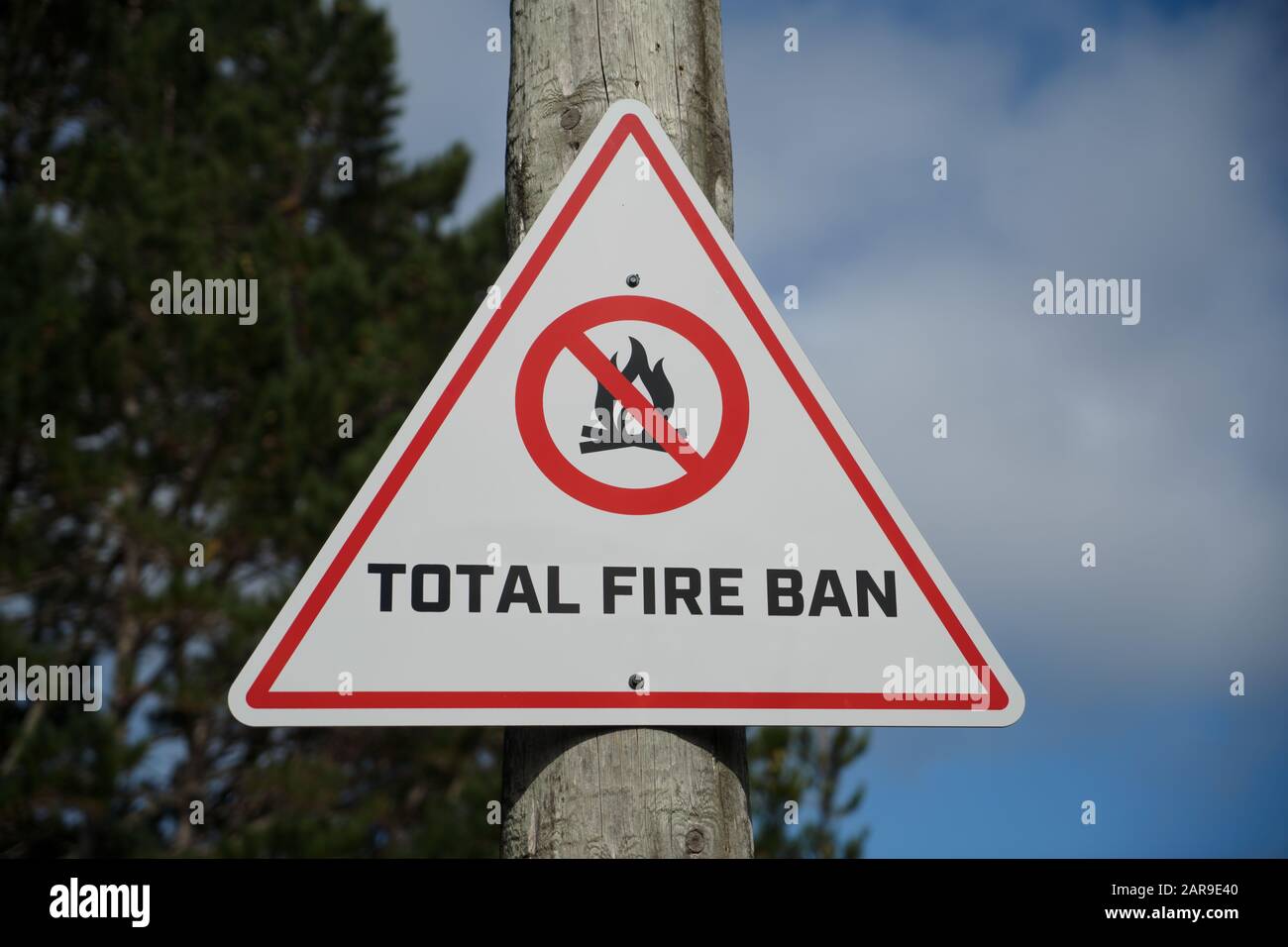 Waitakere ranges, Henderson, Auckland West Coast, Northland, New ...