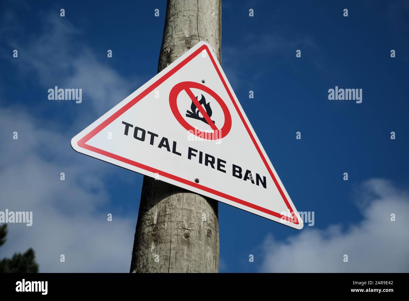 Waitakere ranges, Henderson, Auckland West Coast, Northland, New ...