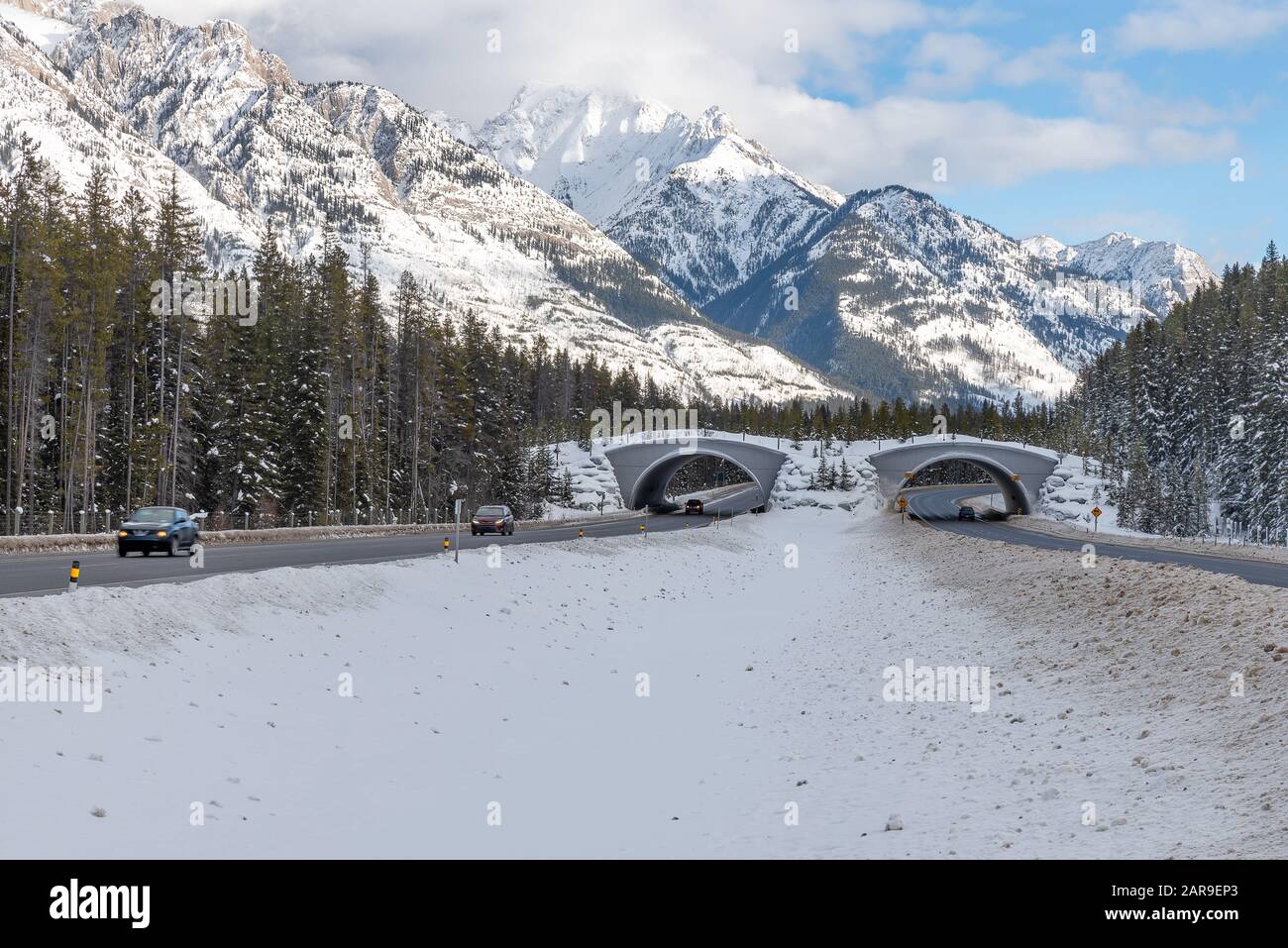 Animal overpass on the Trans Canada Highway in Banff National Park, Alberta, Canada Stock Photo ...