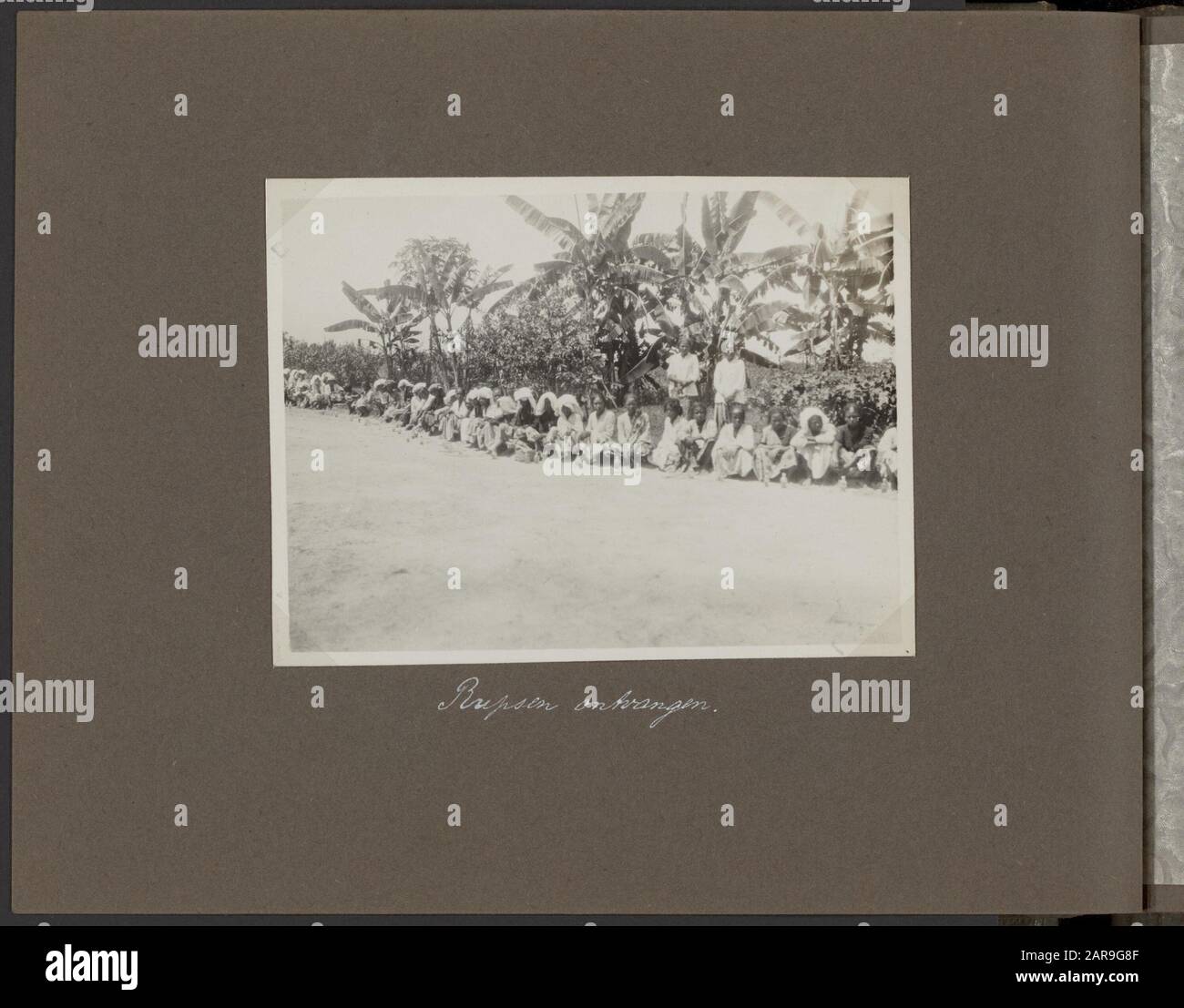 Photo album Deli Maatschappij: Company Loeboe Dalam Female workers ...