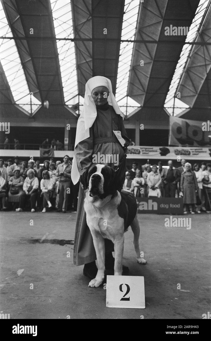 World dog exhibition in RAI Date: June 16, 1985 Keywords: dogs ...
