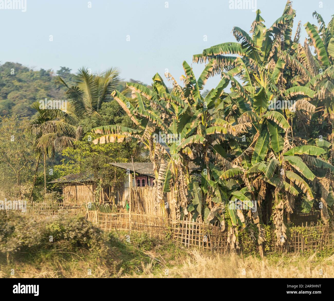 January 17, 2020: The village of Mayong near Pobitora Wildlife ...