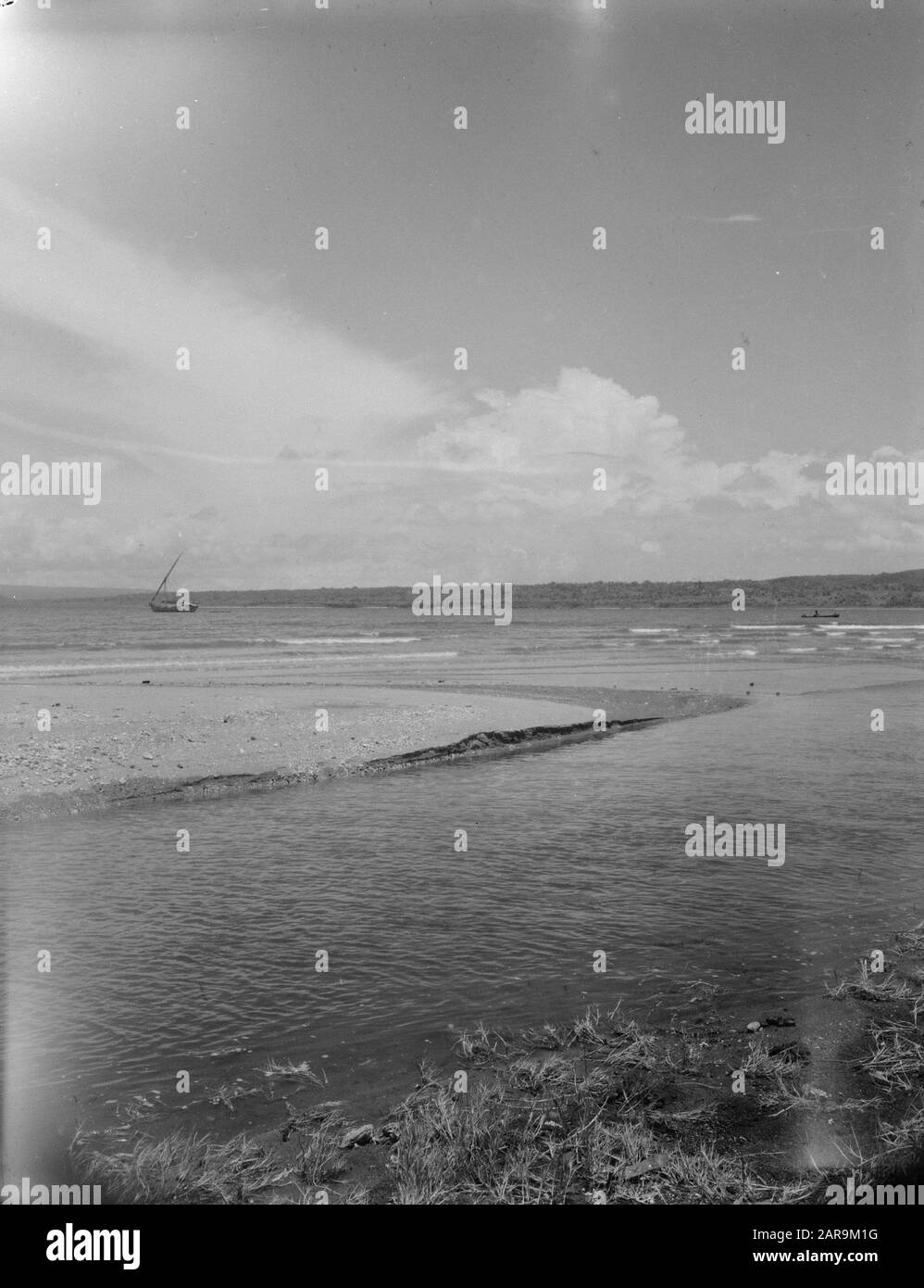 Nature pictures Sea around Soembawa Date: February 1948 Location ...