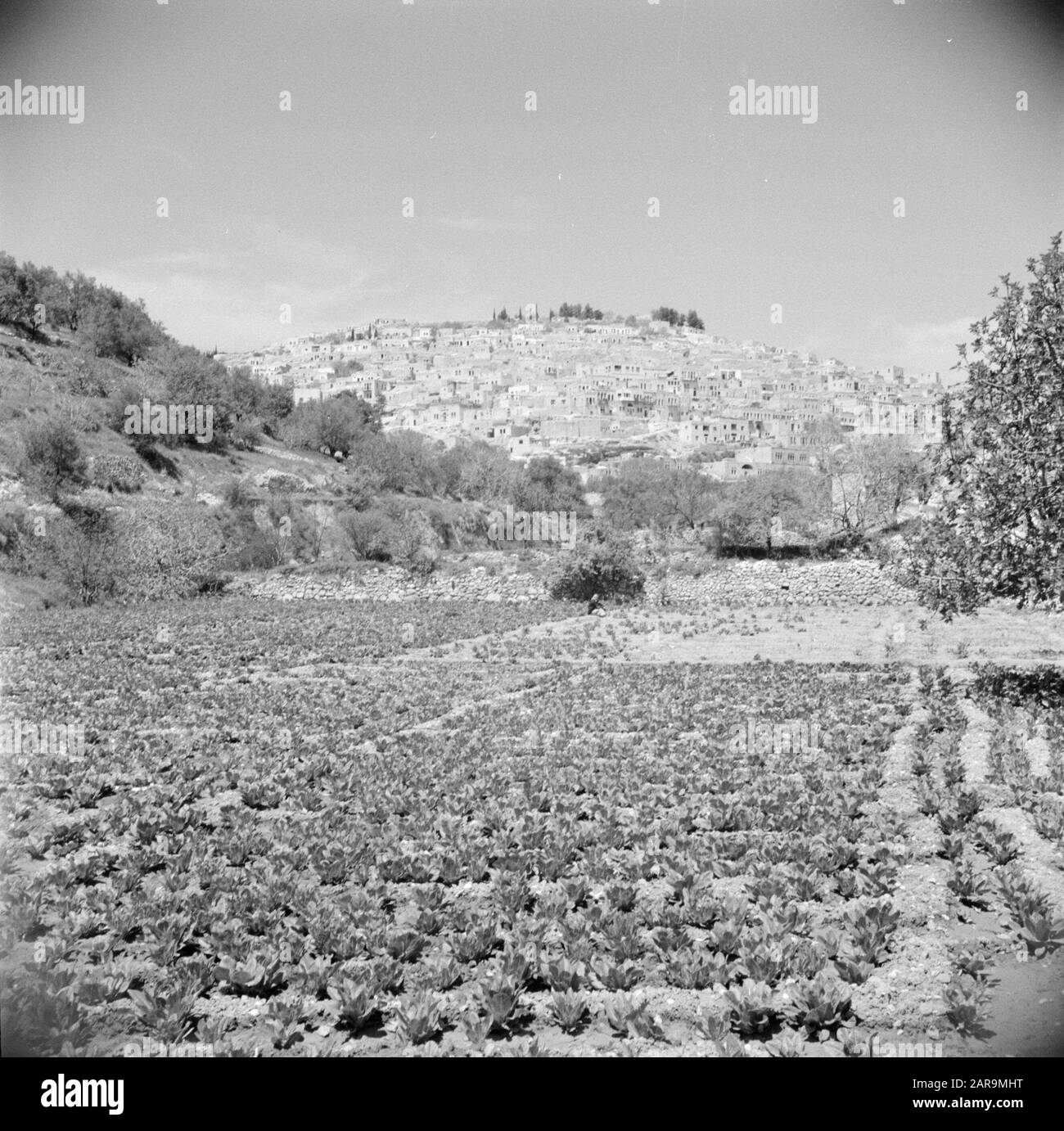 Salt jordan Black and White Stock Photos & Images - Alamy