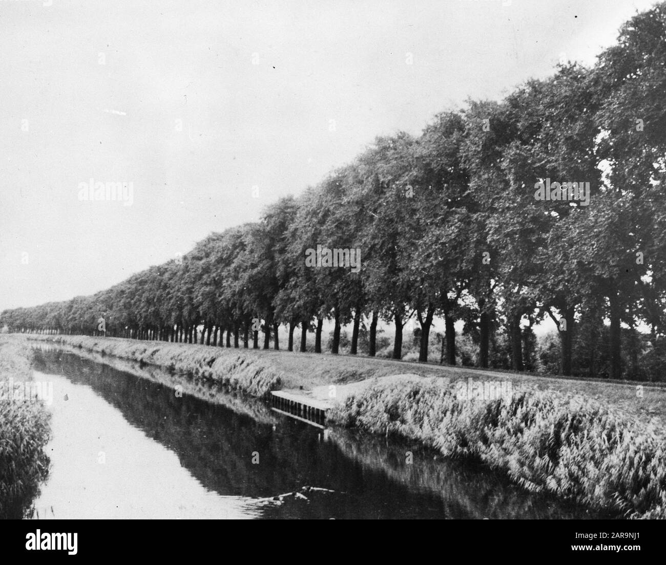 road plantings, pruning, avenues, Ringvaart Date: undated Keywords ...