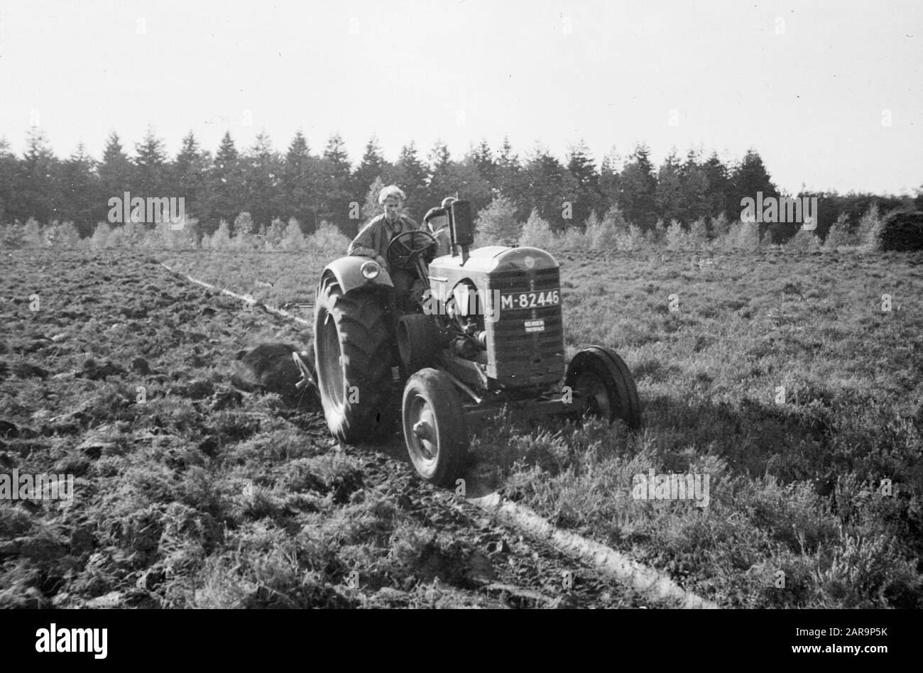 heather field plowed with disk stubble Team Date: undated Keywords ...
