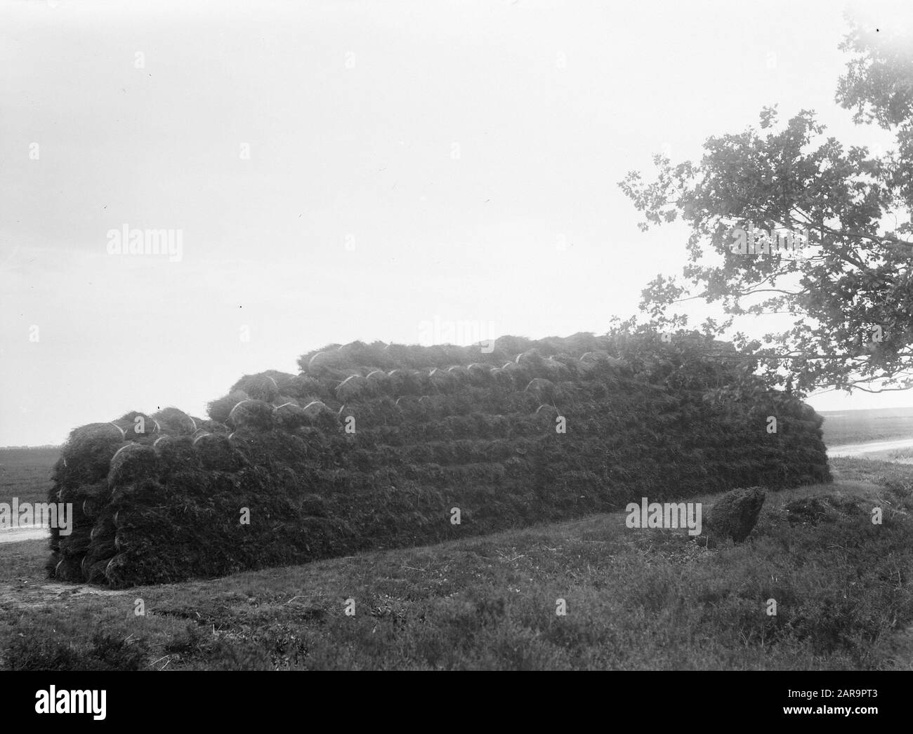 Heath care Black and White Stock Photos & Images - Alamy